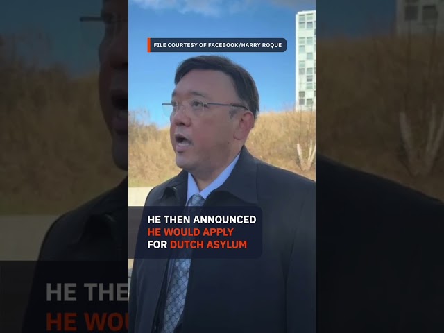 Netherlands denies Harry Roque's asylum bid – DOJ