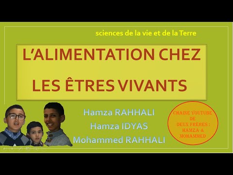 quelques définitions à propos de l'alimentation chez les êtres vivants