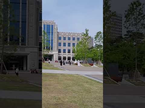 Korea University's 120th Anniversary Visit to Seoul Campus (May 6, 2025) #koreauniversity #campus