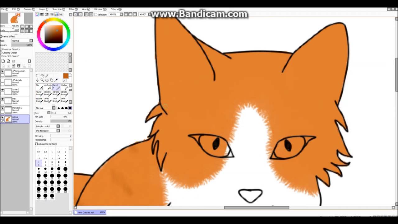 Speedpaint ~ Foxstar request