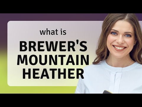 Brewer's mountain heather • definition of BREWER'S MOUNTAIN HEATHER