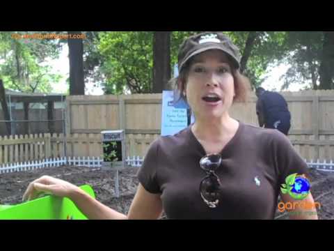 Triscuit Home Farms Builds Edible Gardens-USA