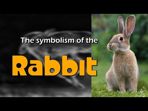 The Symbolism of the Rabbit