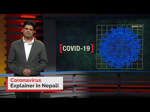 Nepali: Coronavirus Information in Your Language | Information Video | Portal Available Online