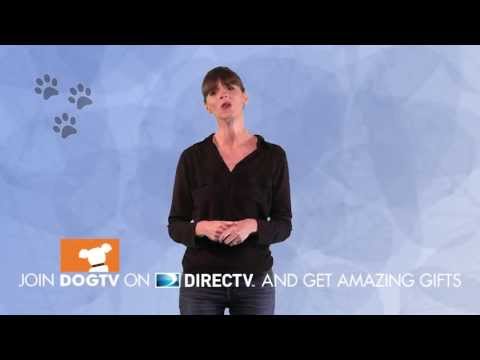 DOGTV on DIRECTV - A message from Victoria Stilwell