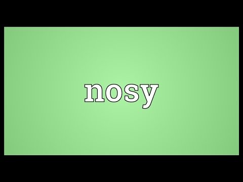 Nosy Meaning