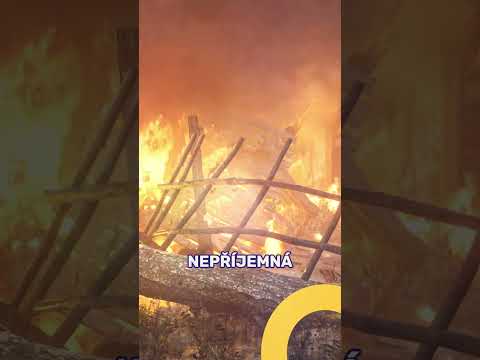 Pojištění chat a chalup