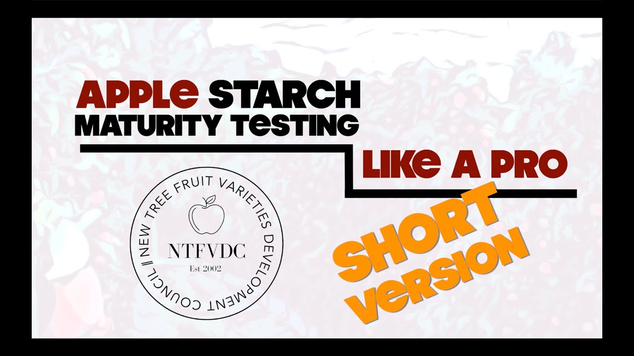 Apple Maturity Testing Like a Pro SHORT