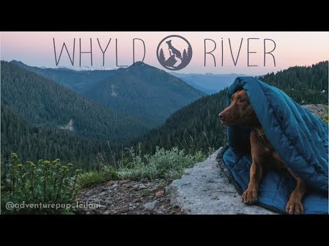 Whyld River's DoggyBag