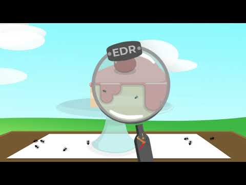 Cybersecurity Toolkit: Endpoint Detection and Response (EDR)