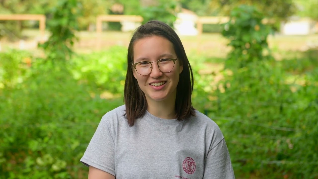 Cornell intern leads urban garden workforce development in Rochester