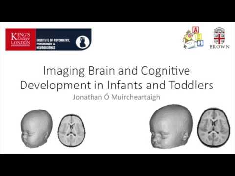 Imaging Brain and Cognitive Development in Infants and Toddlers