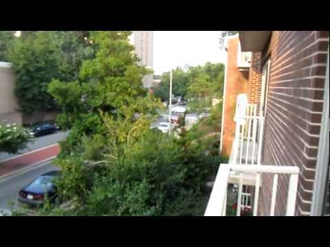 510 N St SW #N231 Washington, DC 20024