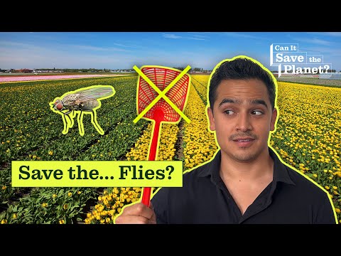 Why Pollinators Are Important To The Ecosystem