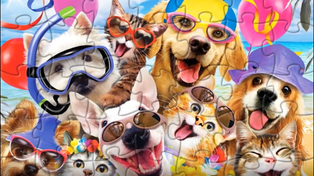 Amazing Puzzle Beach Party Selfie