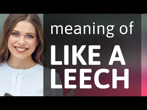 Understanding the Phrase "Like a Leech": A Guide to English Idioms