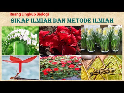 BIOLOGI 10 SMA-RUANG LINGKUP BIOLOGI-SIKAP ILMIAH DAN METODE ILMIAH