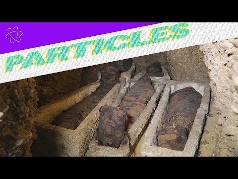 Mummy Madness! Lots of Mummies Found at Famous Egypt Site