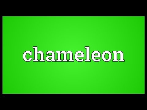 Chameleon Meaning