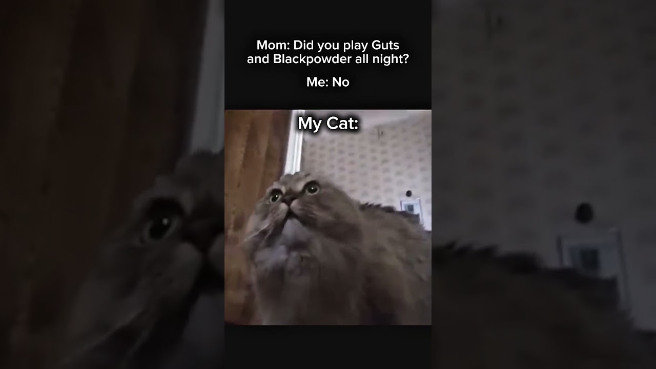 Guts and Blackpowder meme #gutsandblackpowder #gnb #memes #funny #gutsandblackpowdermeme