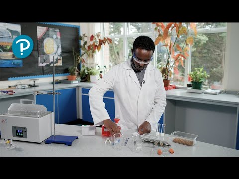 Pearson Edexcel (9-1) GCSE Combined Science and GCSE Biology practical - rate of respiration