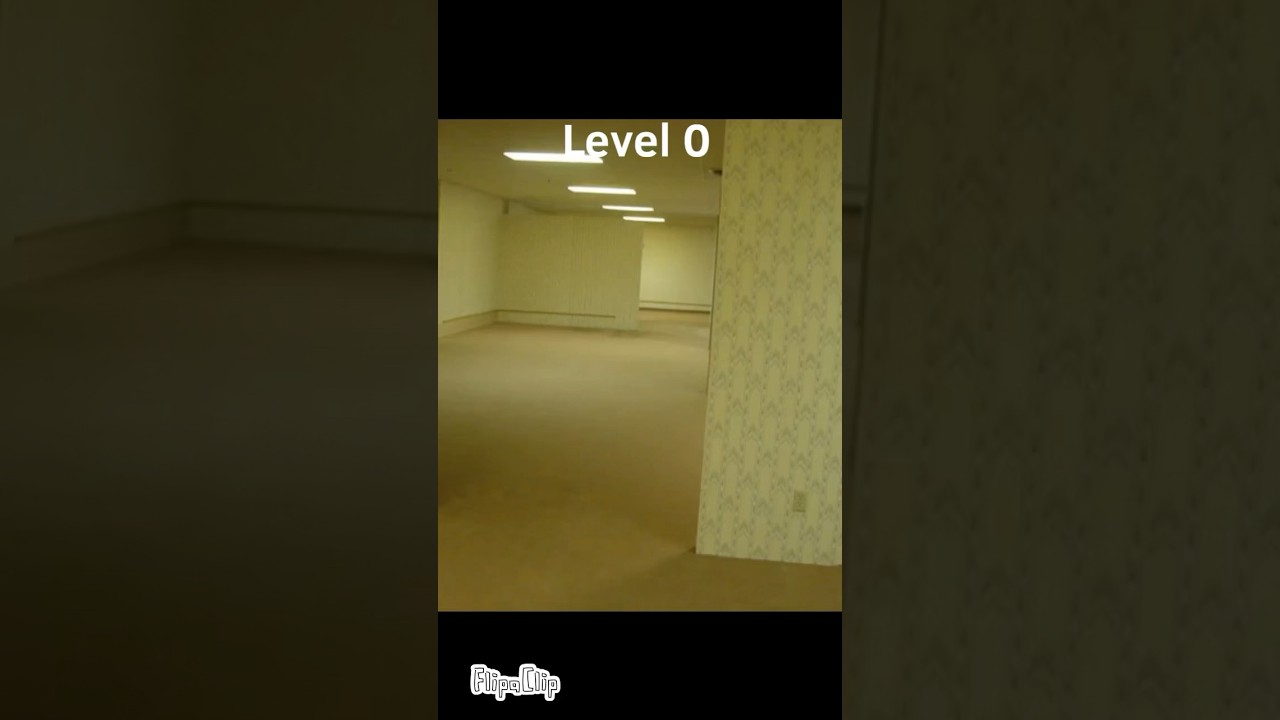 What level can you pause on? (Backrooms levels 0-100)