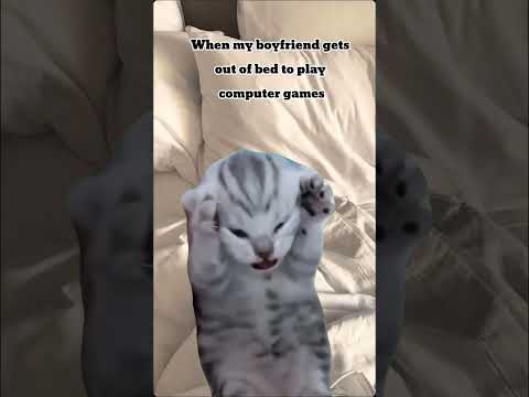 Screaming Cat Meme🐾(pt5 EnglishVideo) #catmemes #cats #talkingcat #cat #shortvideo #screaming #funny