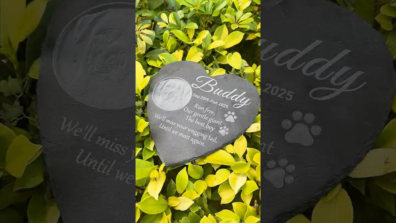 Watch This Pet Memorial Stone Come to Life with xTool F1 Ultra!