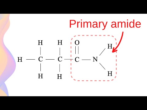 Amides: Structure and Properties // HSC Chemistry