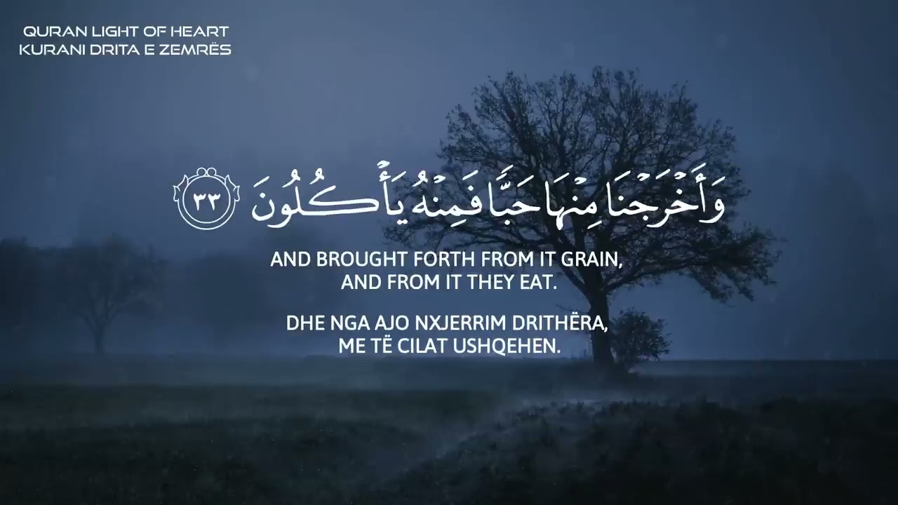 سورة يس كاملة تلاوة هادئة القارئ طارق محمد Surah Yaseen Reciter Tareq