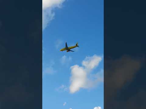 Spirit Airlines Airbus A320-271N (N957NK) Approaching to Miami from Dallas as NK3122 #shorts