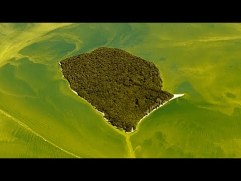 Something Strange Has Turned Lake Erie A Ghostlike Green