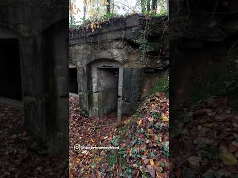 The Lost Battalion, Cher Ami Real Location #lostbattalion #thegreatwar #77thdivision