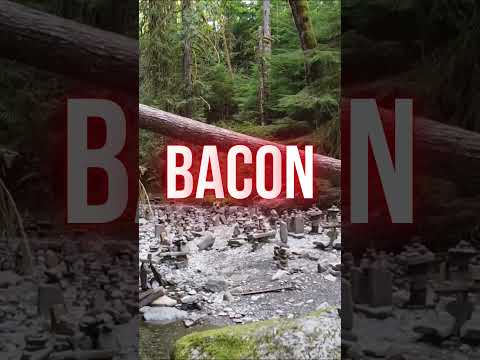 Bacon Fact | Interesting Facts | facts | Act & Fact | Funny definitions #shorts #subscribe