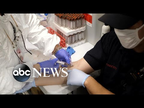 Mayo Clinic investigation reveals efficacy of COVID-19 antibody tests l ABC News