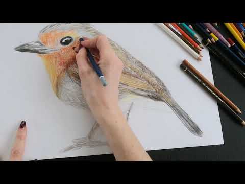 Sketching a Robin