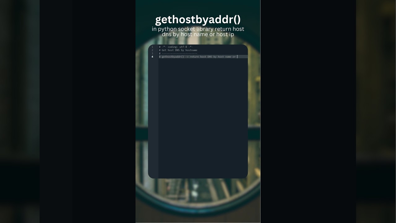 Get the DNS in Python socket - gethostbyaddr()