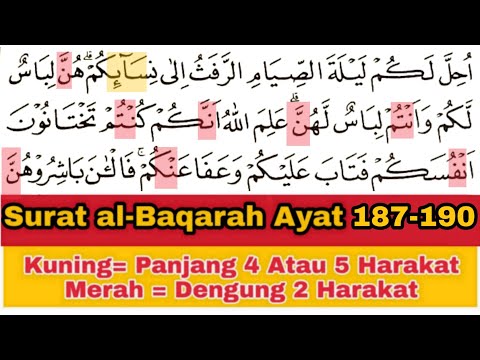Tadarus Surat al-Baqarah Ayat 187-190, Pahami Panjang & Dengung Agar Lancar Baca al-Quran