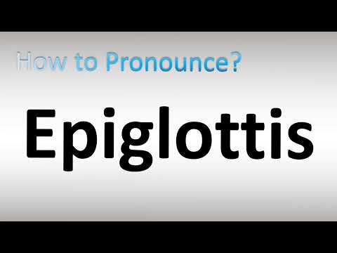 How to Pronounce Epiglottis