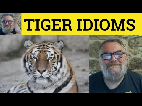 🔵 Paper Tiger -Tiger in the Tank - Eye of the Tiger - Have a Tiger by the Tail Meaning Tiger Idioms