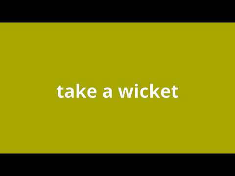 what is the meaning of take a wicket.