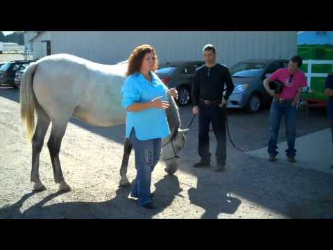 Tracy Vroom visits ROTH's HHC to Demo Cranialsacral Therapy