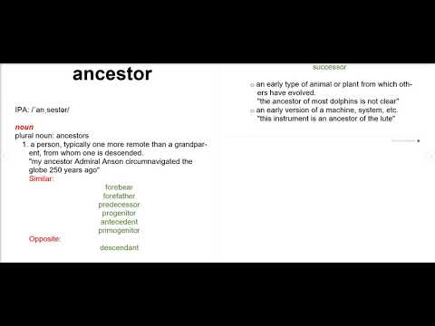 ancestor