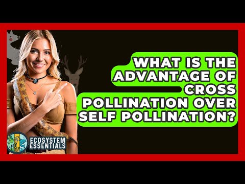 What Is The Advantage Of Cross Pollination Over Self Pollination? - Ecosystem Essentials