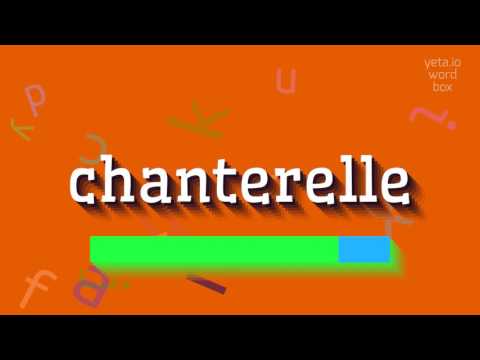 How to say "chanterelle"! (High Quality Voices)