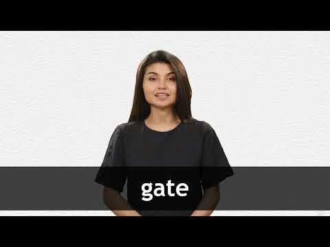 GATE definition and meaning | Collins English Dictionary