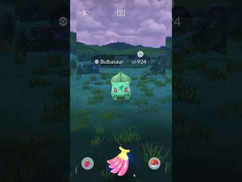A hardly catching Bulbasaur pokemon go is worthy amazing #pokemongo #pokemon #bulbasaur
