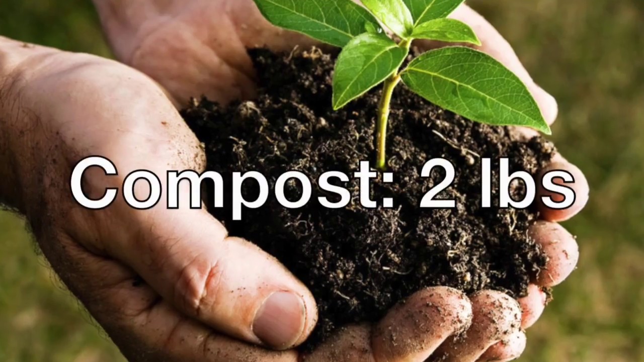 How to set up a Zero Waste system in your office: It's all about the bins