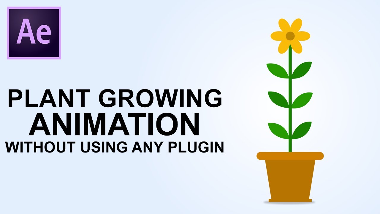 Plant Growing Animation in Adobe After Effects Tutorial | No Plugin Required