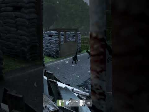 Steam Community :: Video :: Haha wut... #shorts #dayz